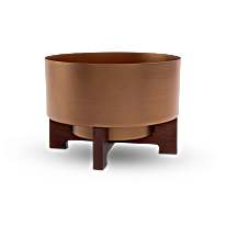 Teleflora's Alpine Snow Tree Bouquet - Teleflora