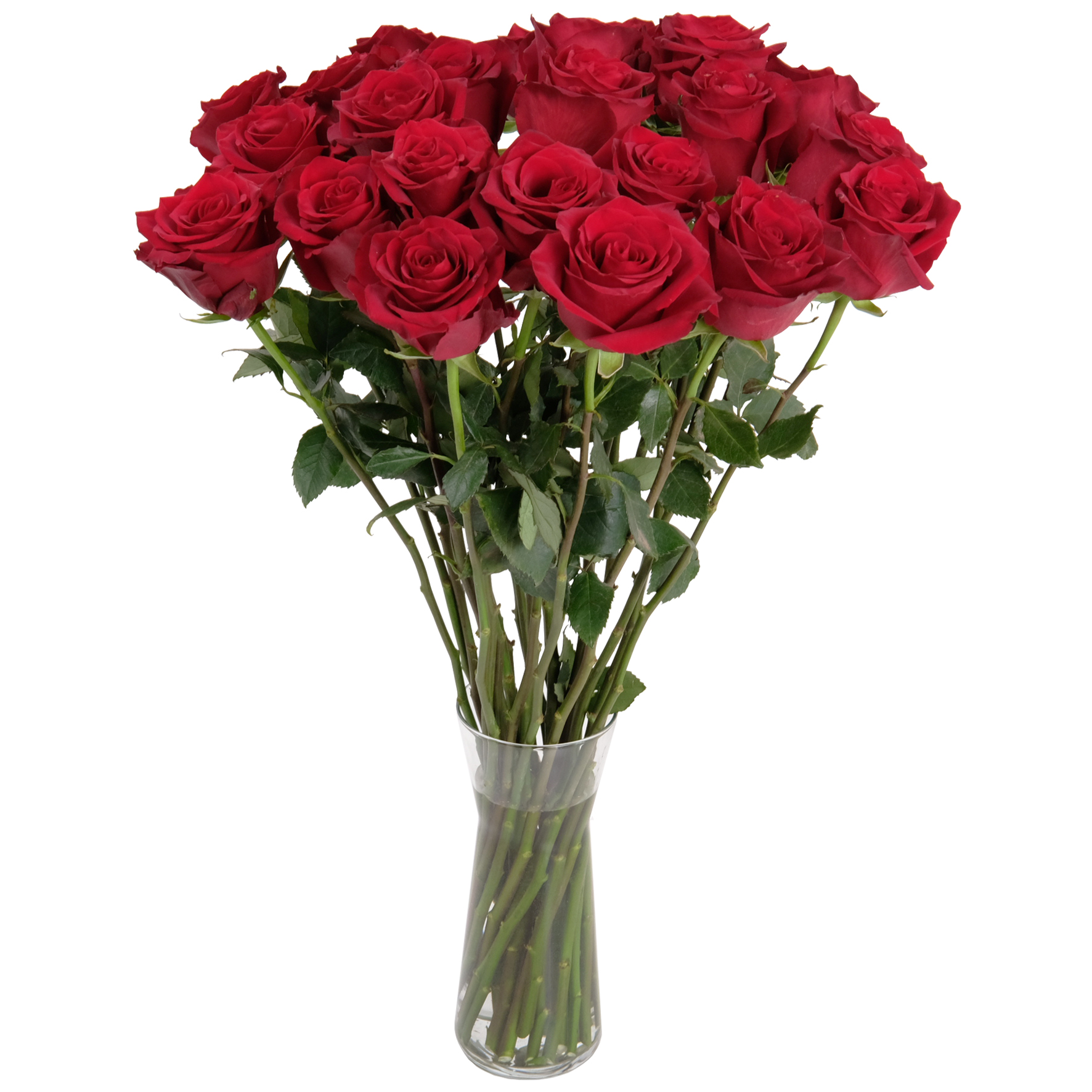 Florist's red roses - Teleflora international