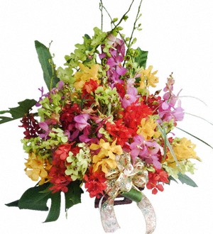 Orchids in Abundance - Teleflora international