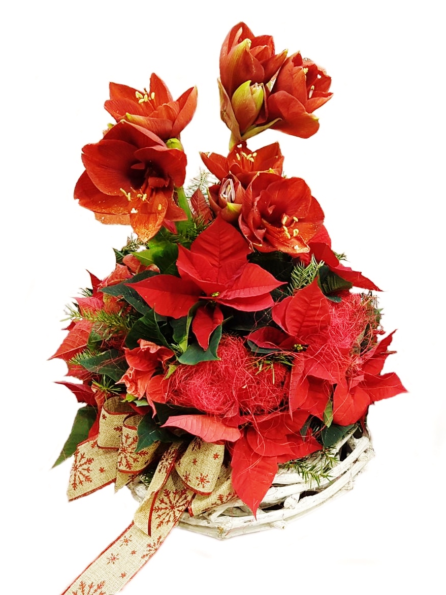 Birthday Flowers - Puerto Rico