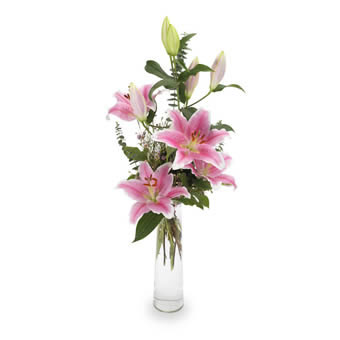 Florence Florist: Send Fresh Italy Flowers | 1st in Flowers!