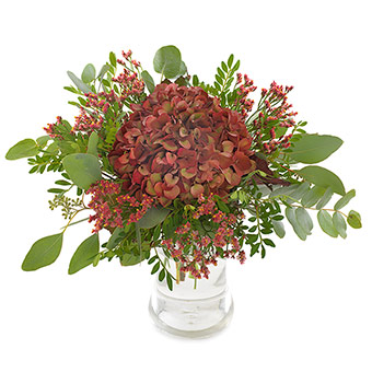 Native Denmark Flowers | Best Flower Site