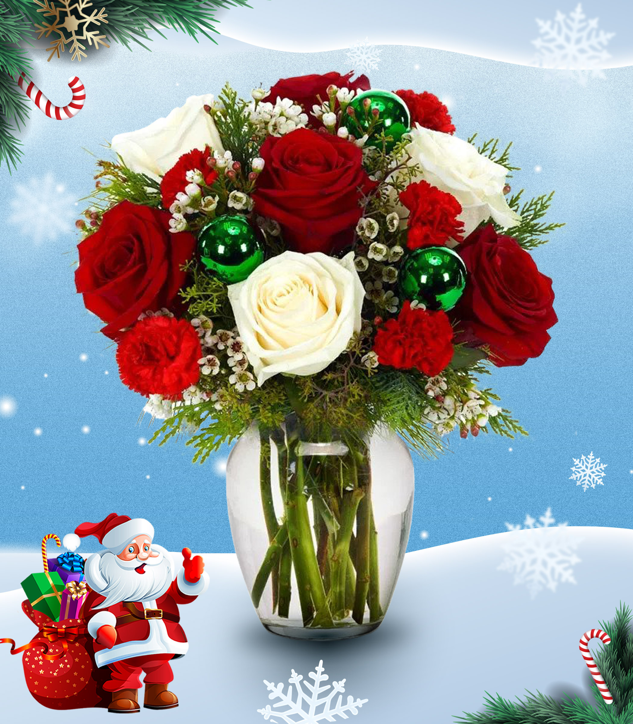 Winter Dobby - Teleflora international