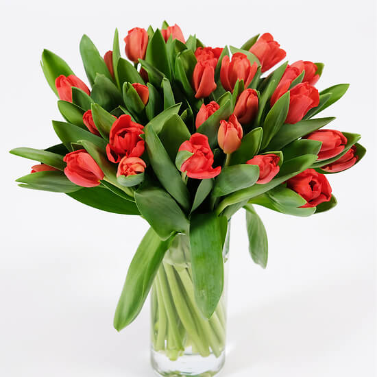 Flower Delivery Rome: Local Florists with Same Day Delivery | 1st in ...