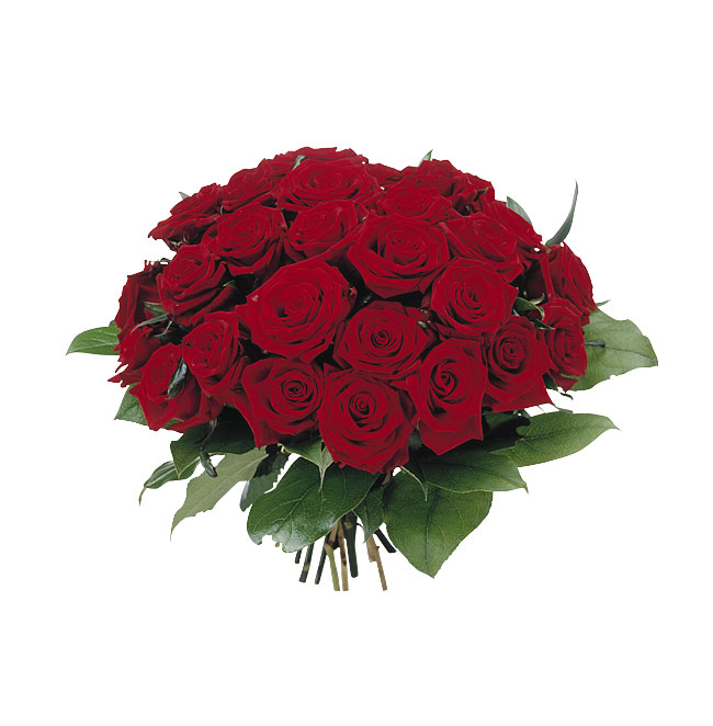 24 Red Roses - Teleflora international