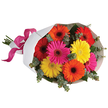 Gerbera Brights - Teleflora international