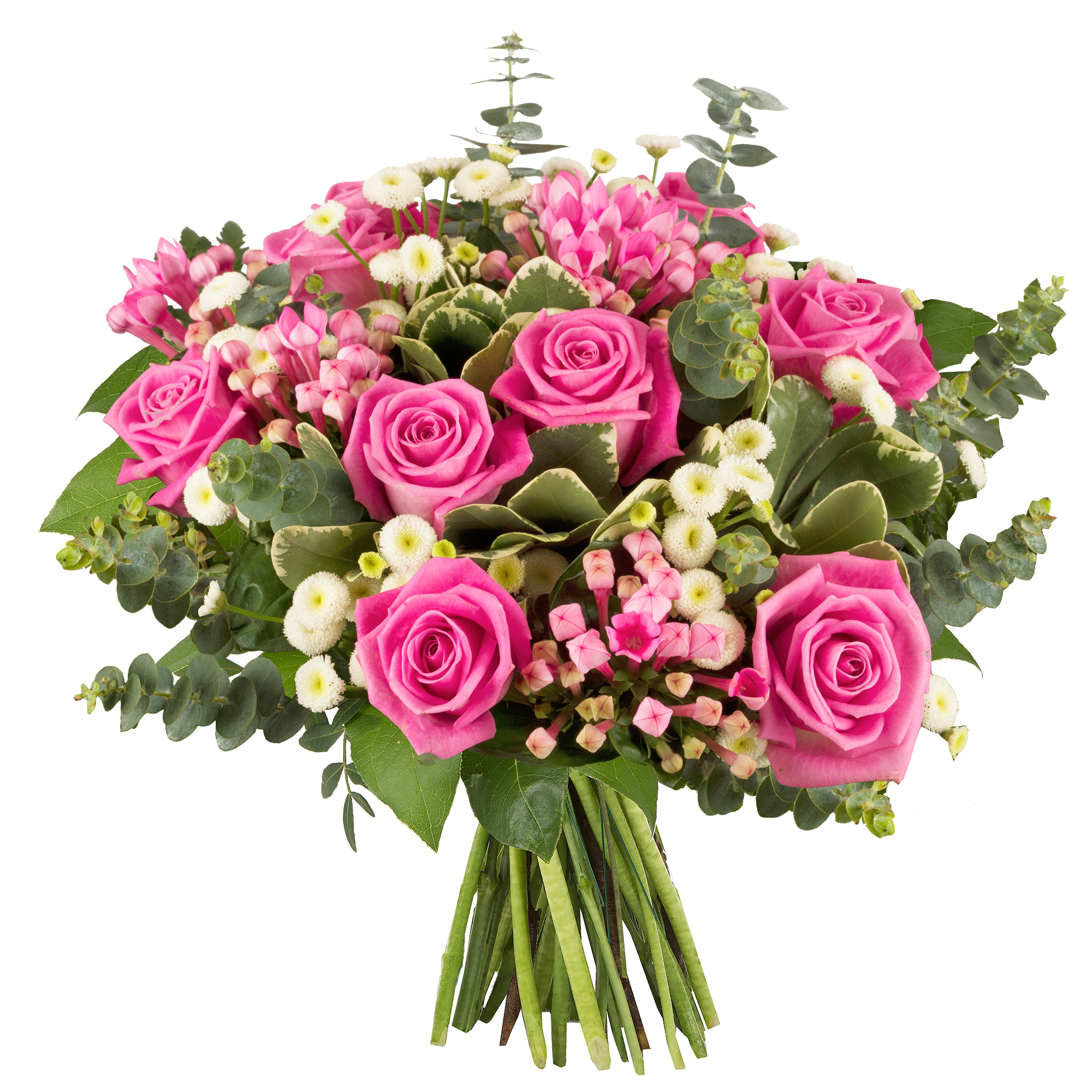 Paris Flowers: Local Florists with Same Day Delivery | 1st in Flowers!