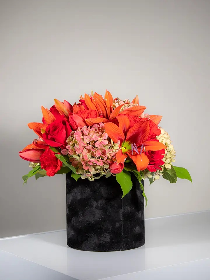 Christmas black flower box - Teleflora international